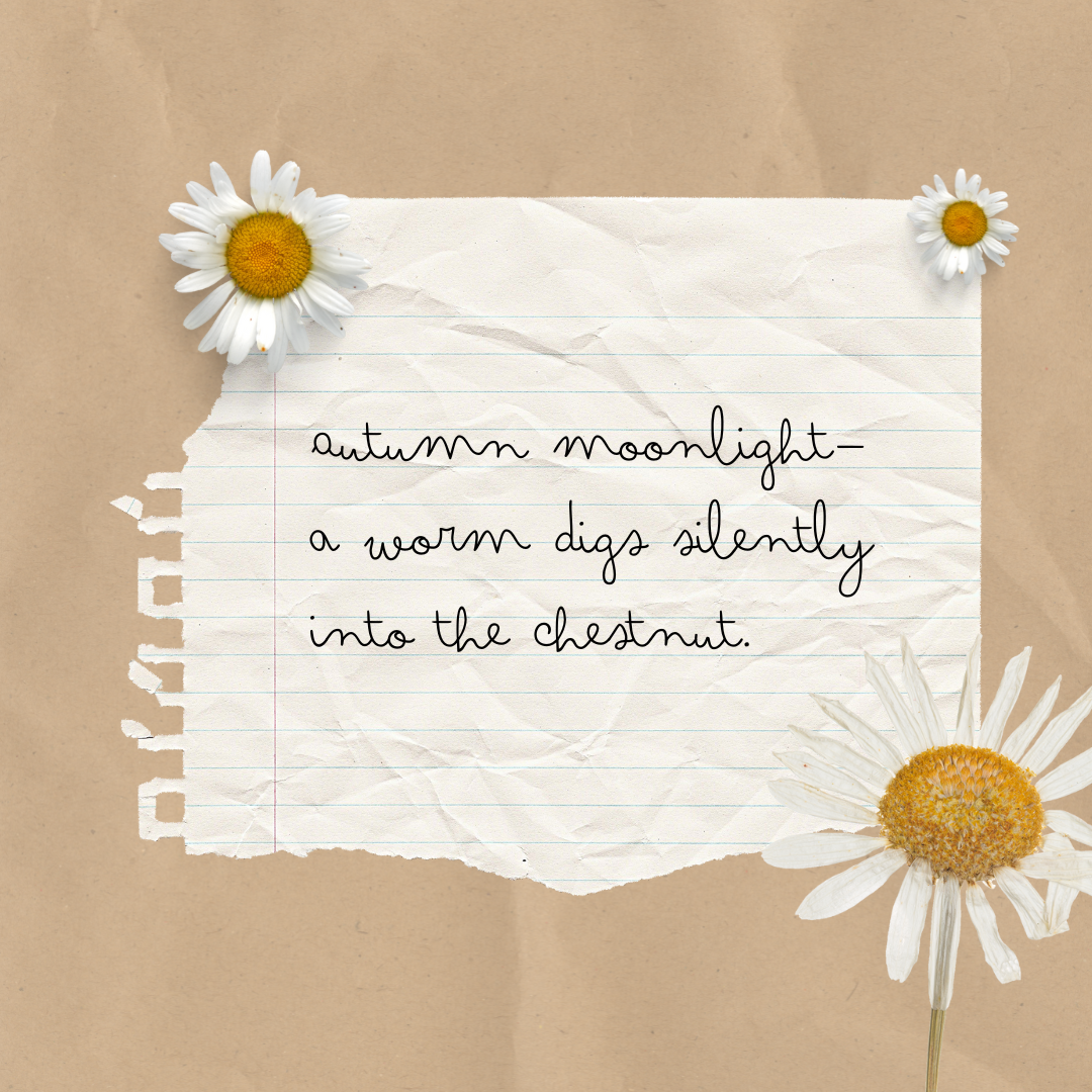 The Evolution of Haiku: From Ancient Japan to Global Influence ...