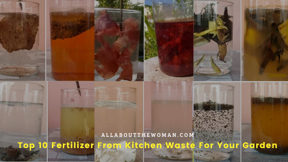 Top 10 Fertilizer From Kitchen Waste For Your Garden #CauseAChatter