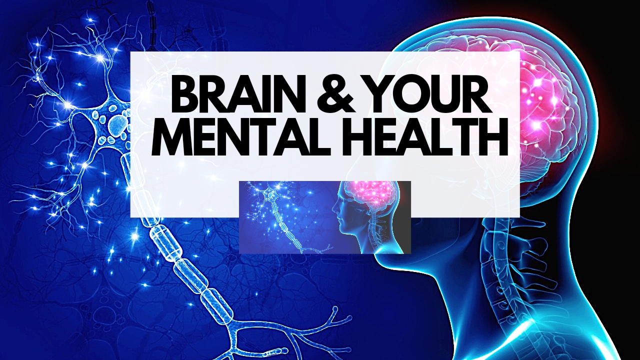 Brain and Your Mental health