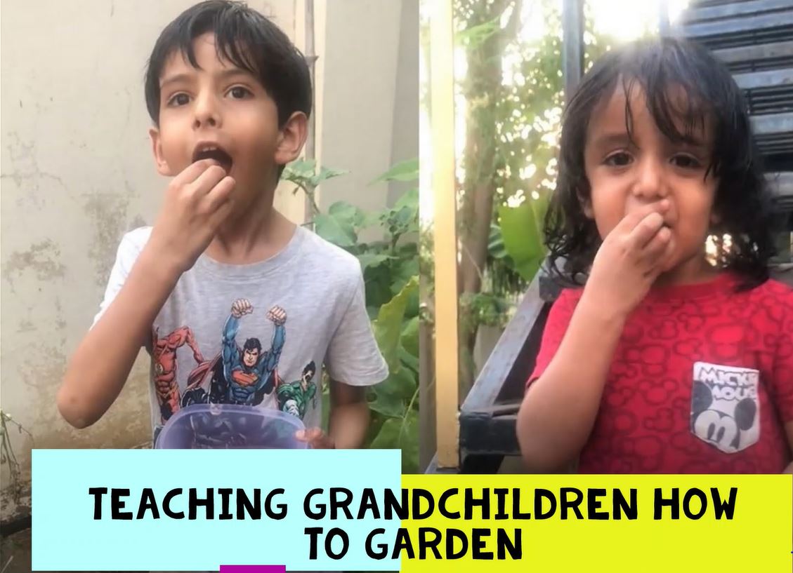 Teaching Grandchildren How to Garden