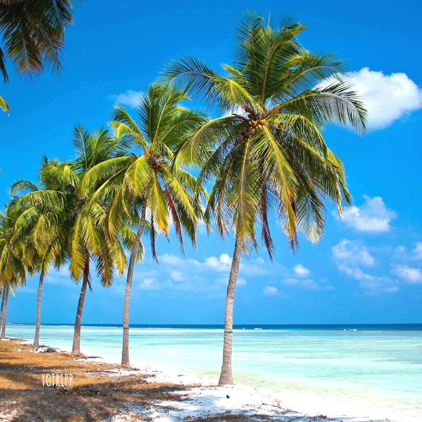 10 Reasons to Book a Lakshadweep at Agatti Island Beach Resort