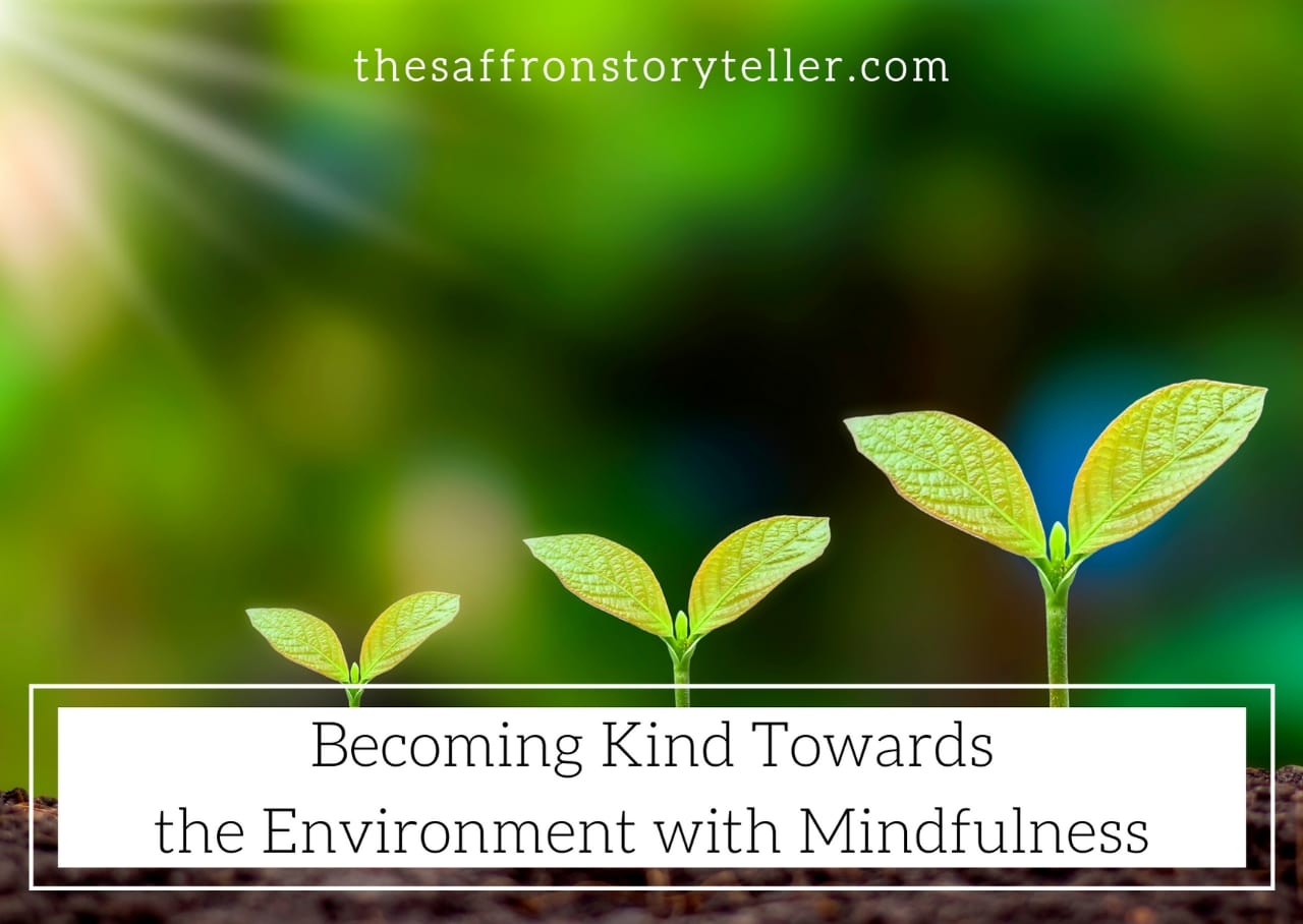 BECOMING KIND TOWARDS THE ENVIRONMENT WITH MINDFULNESS