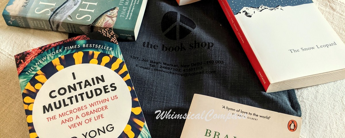 My Surprise Book Haul