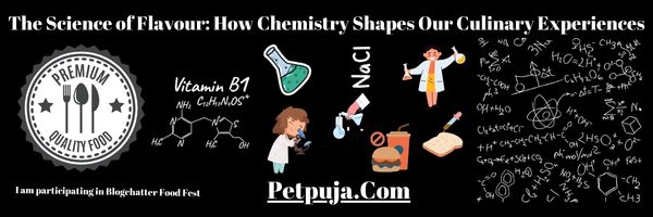 The Science of Flavour: How Chemistry Shapes Our Culinary Experiences