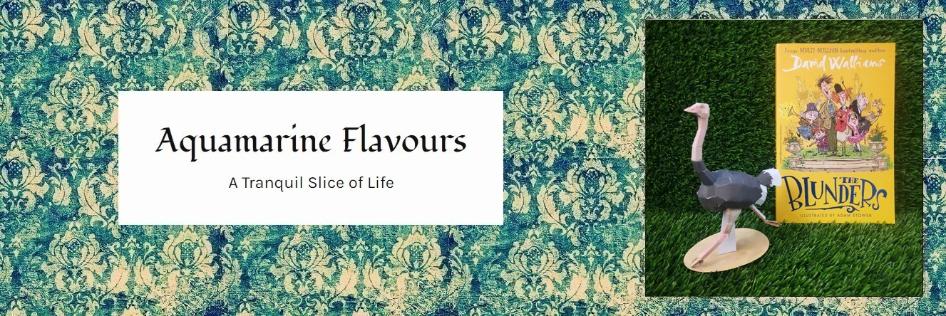 The Blunders by David Walliams | Book Review