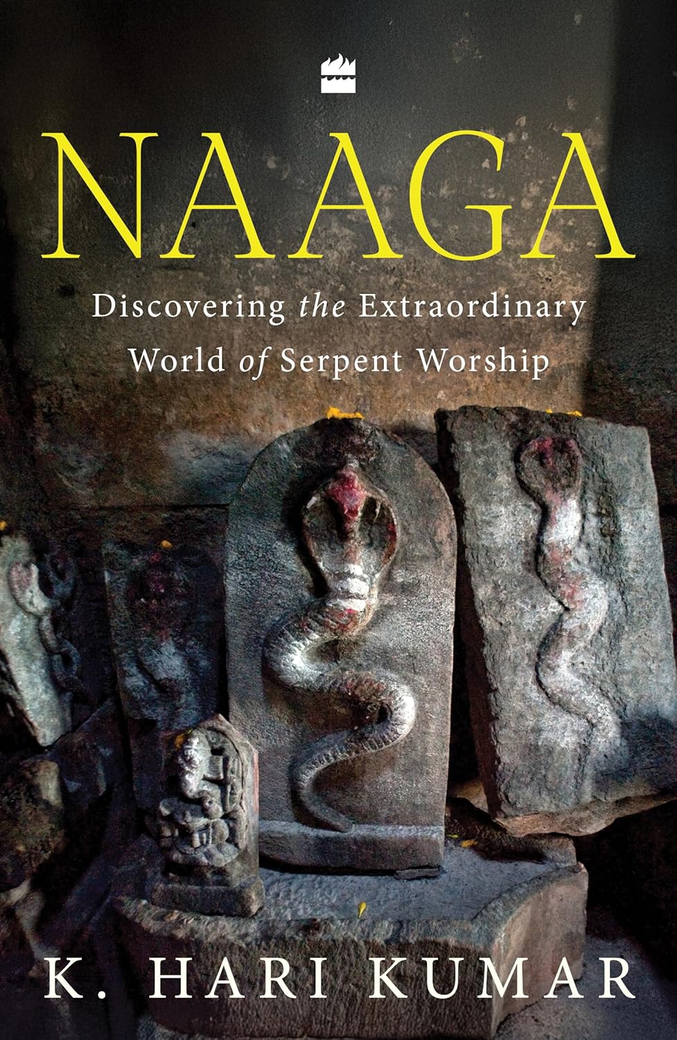 My Review of "Naaga" by K. Hari Kumar