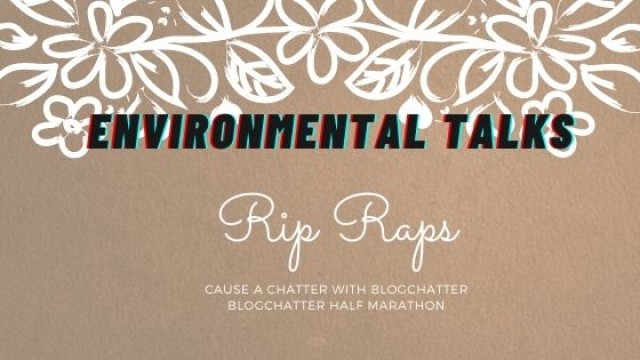 Rip Raps and Erosion Control