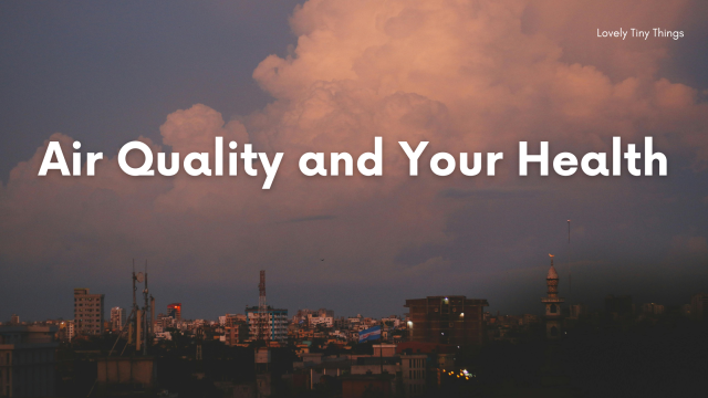 Air Pollution and Your Health: Breathing Easy in a Polluted World